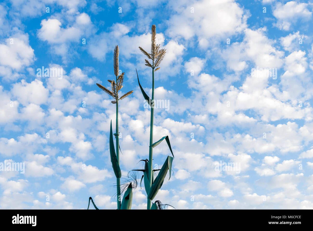 Giant corn sculpture hi-res stock photography and images - Alamy