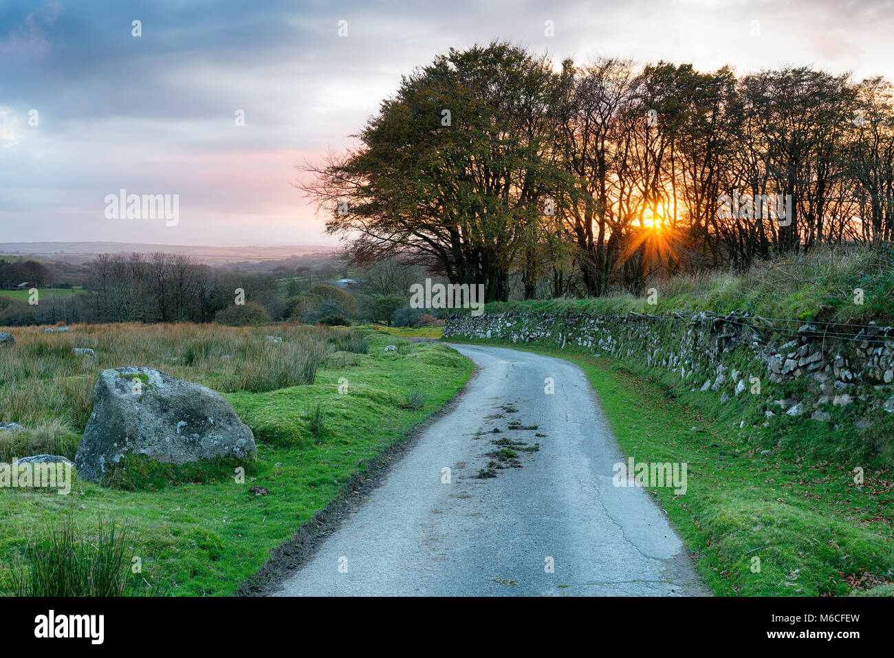 A country lane over Bodmin Moor in the Cornwall countryside Stock Photo ...