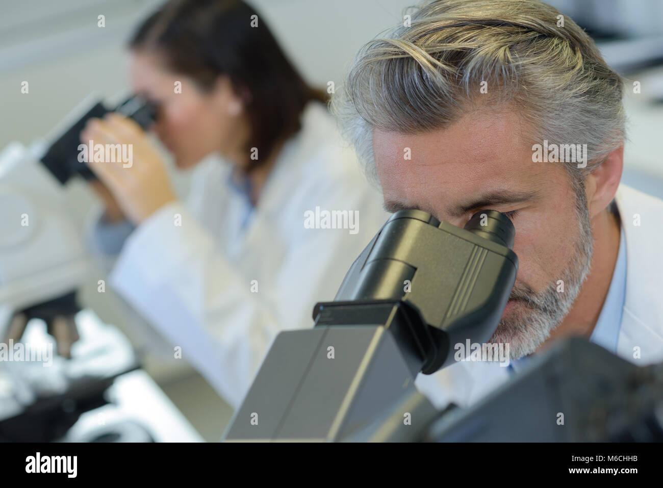 looking through a microscope Stock Photo - Alamy