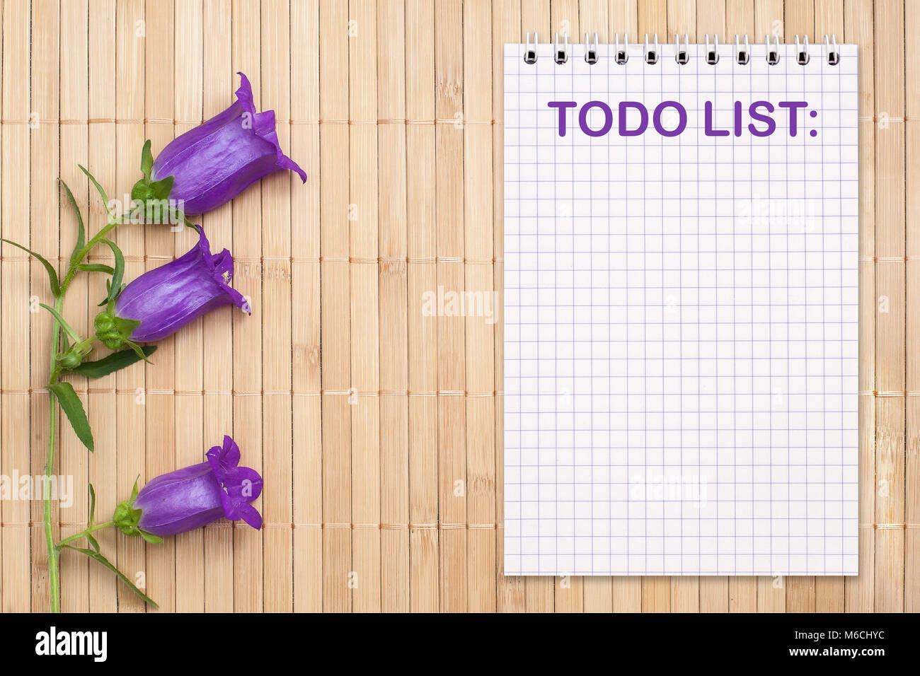 Blank notebook with TODO LIST text on a bamboo background and ...