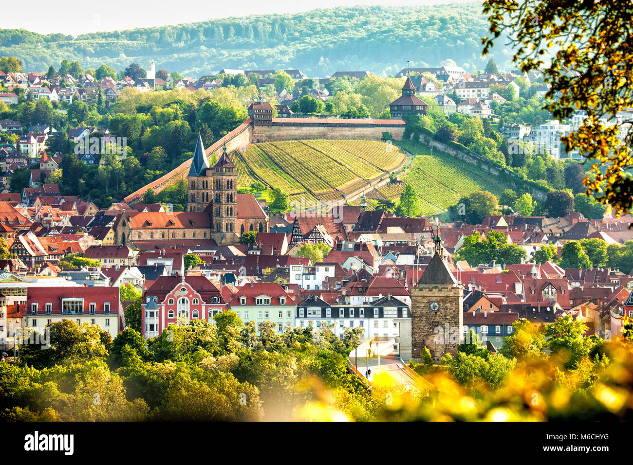 panoramic view of medieval tourist town esslingen am neckar in Germany ...
