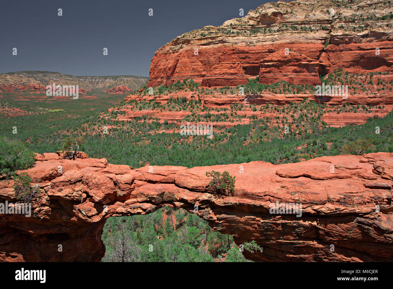 Devils Bridge red sandstone arch, Sedona, Arizona Stock Photo - Alamy