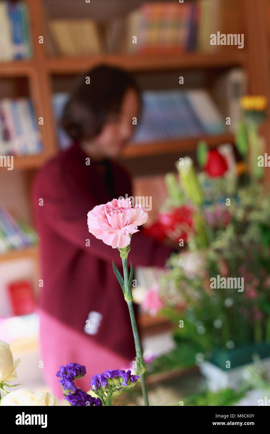 Woman with a red carnation hi-res stock photography and images - Alamy