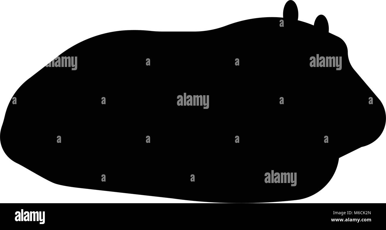 Guinea pig animal isolated Black and White Stock Photos & Images - Alamy