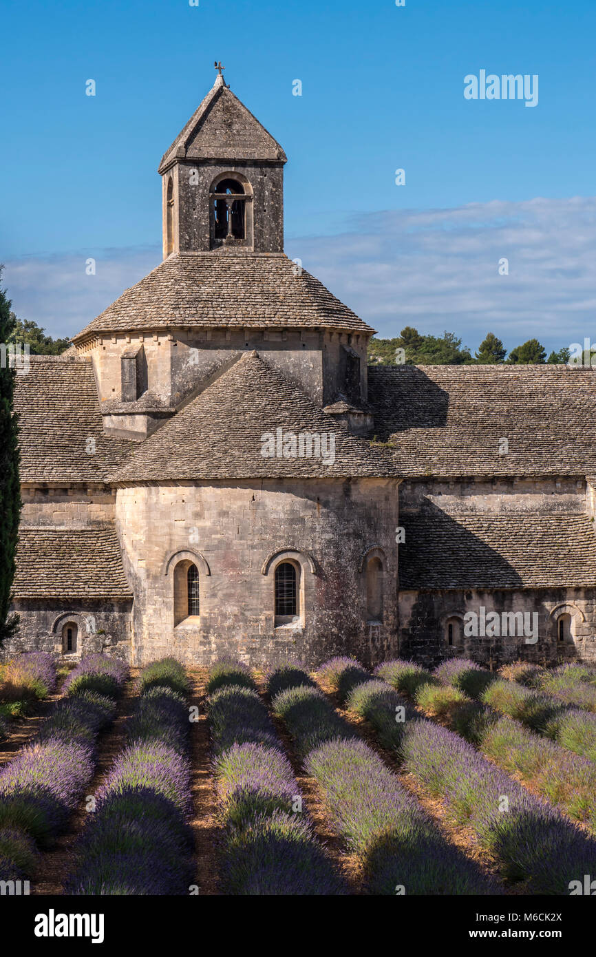 Senanque abbey hi-res stock photography and images - Alamy