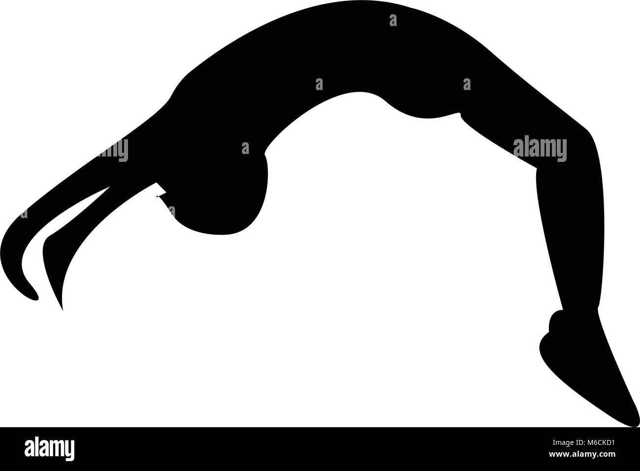 Backflip Silhouette