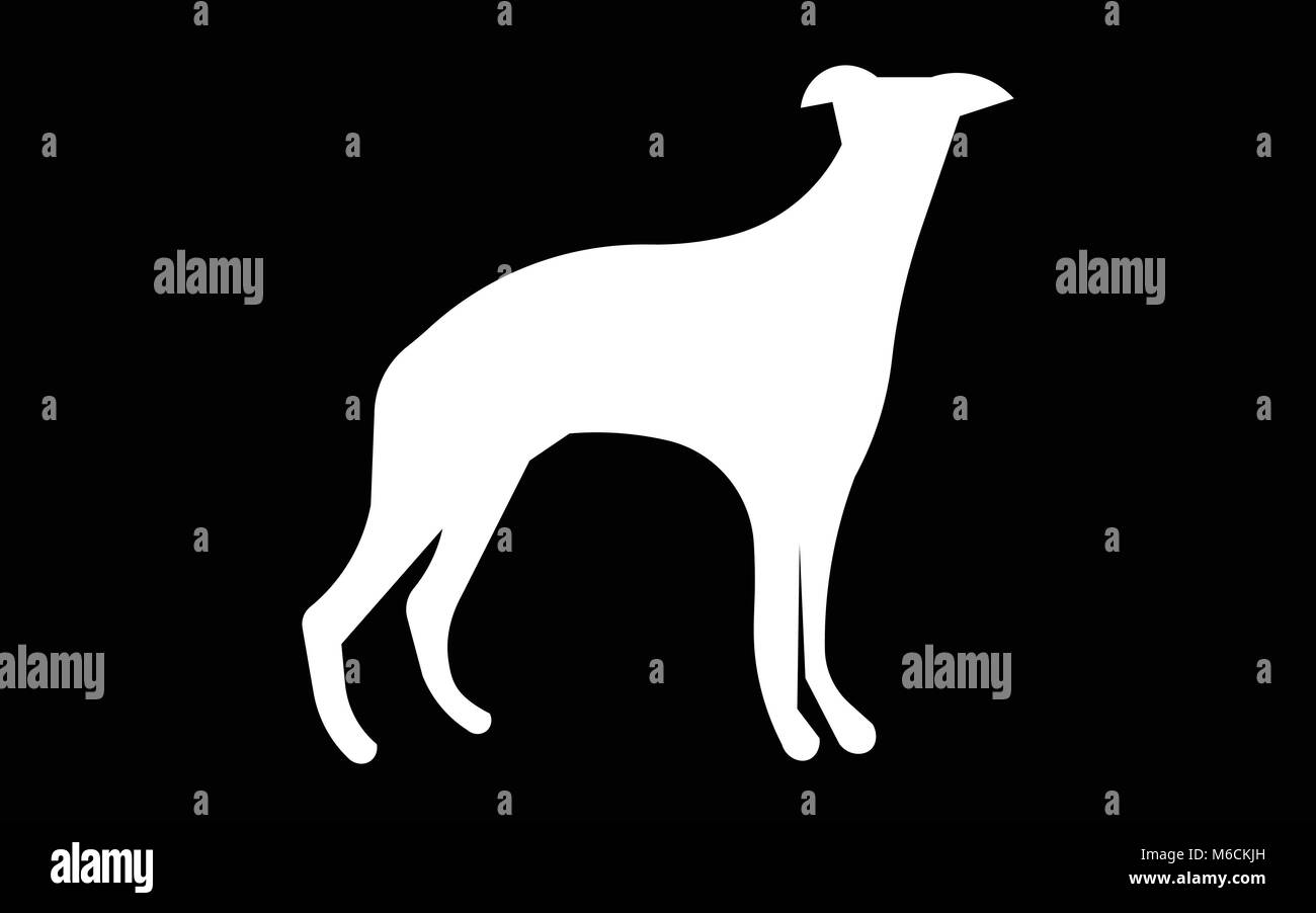 white whippet silhouette on black background Stock Vector Image & Art - Alamy