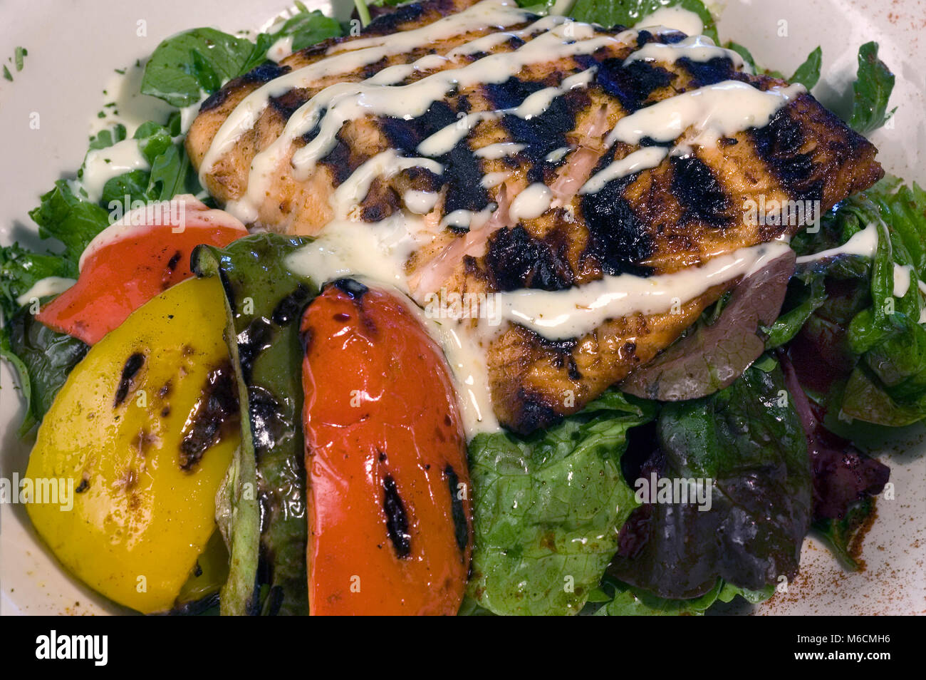 Grilled Salmon Lemnon Aiolor - Served at a Cape Cod restaurant Stock ...