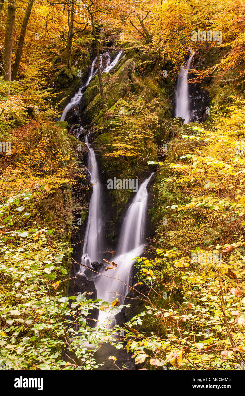 Autumn colour stockghyll force waterfalls hi-res stock photography and ...