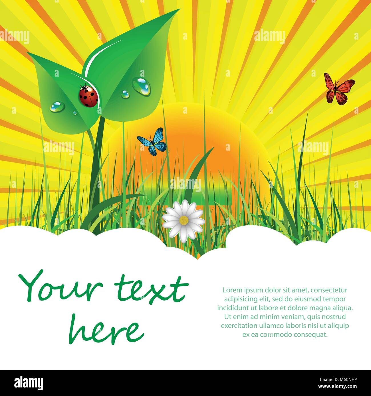 Ecological Background for Web and Design Template - Nature, Summer Sun ...