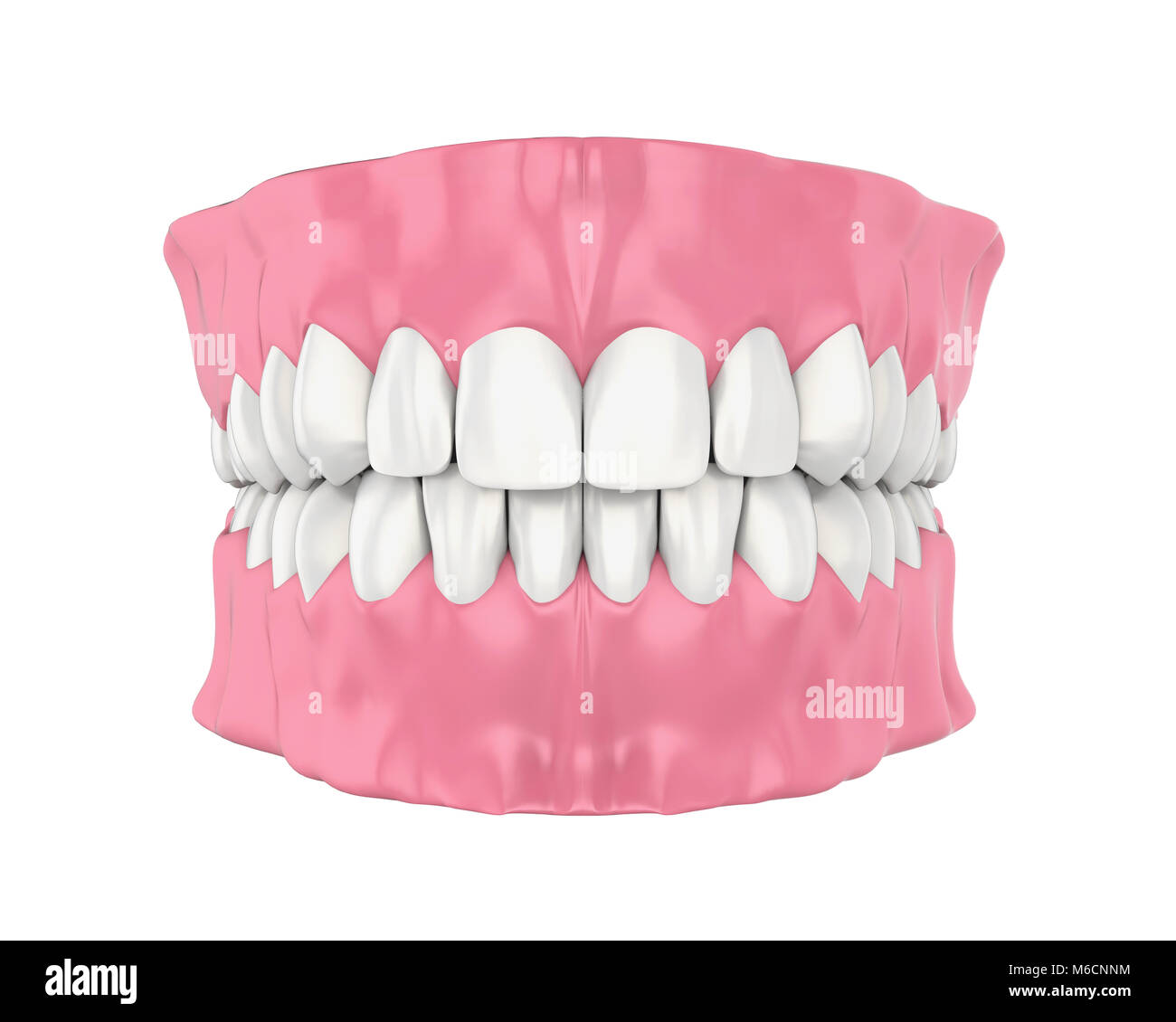 Mouth teeth anatomy hi-res stock photography and images - Alamy