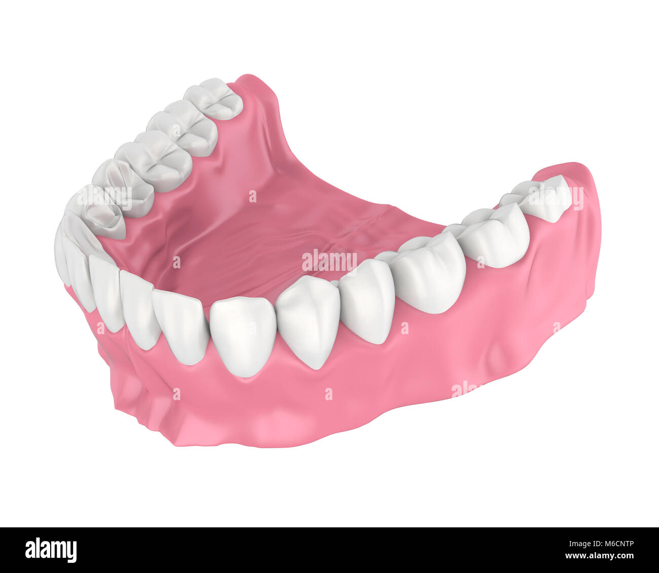 Mouth Gum and Teeth Isolated Stock Photo - Alamy