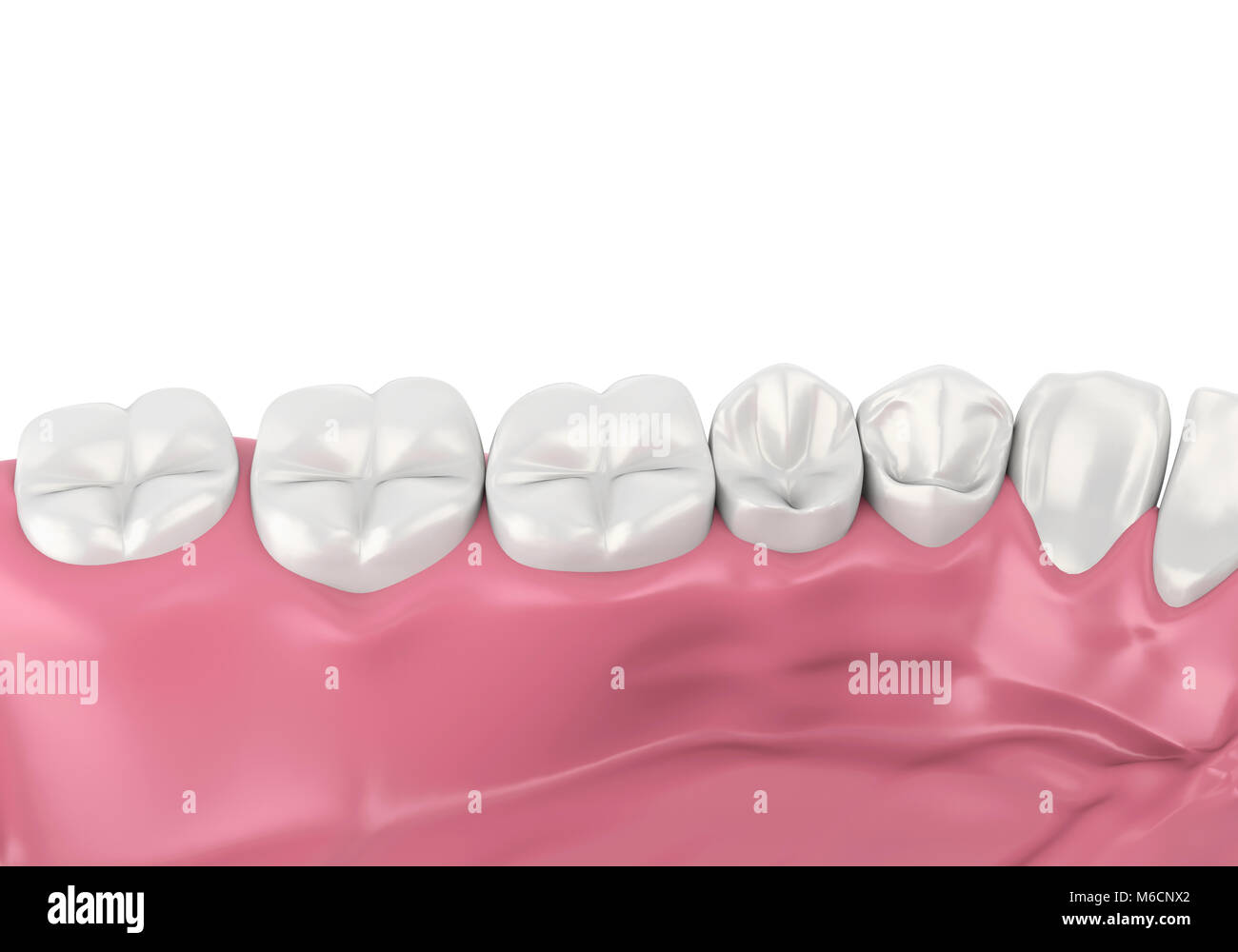 Mouth teeth anatomy hi-res stock photography and images - Alamy