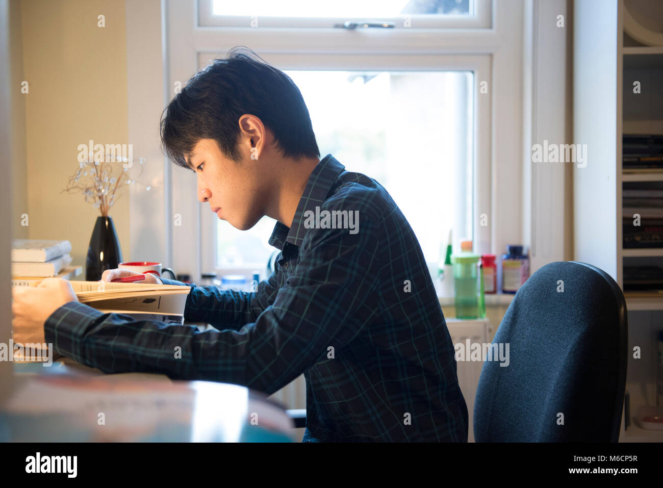 a young asian student works in his bedroom reading a book and revising ...