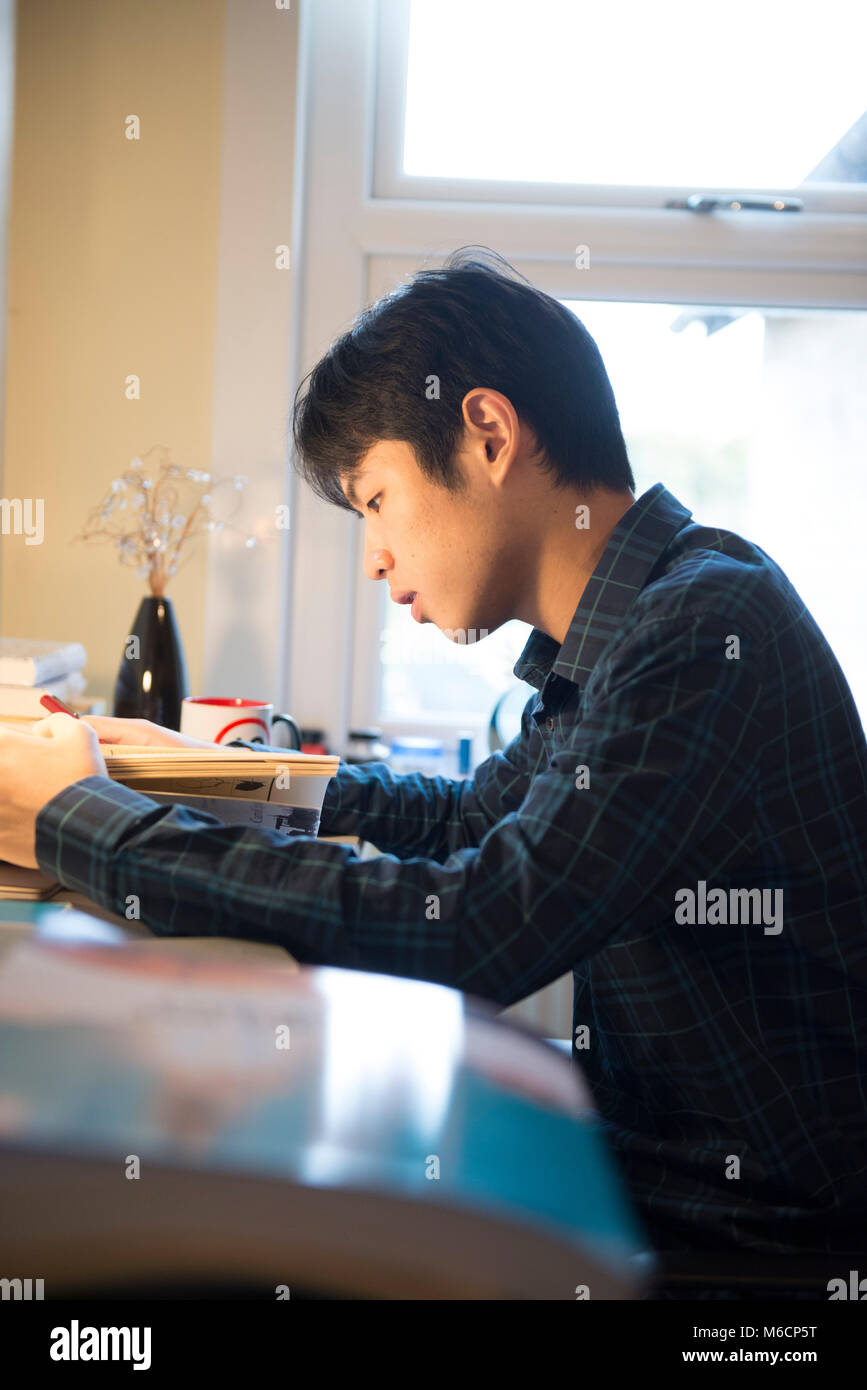 a young asian student works in his bedroom reading a book and revising ...