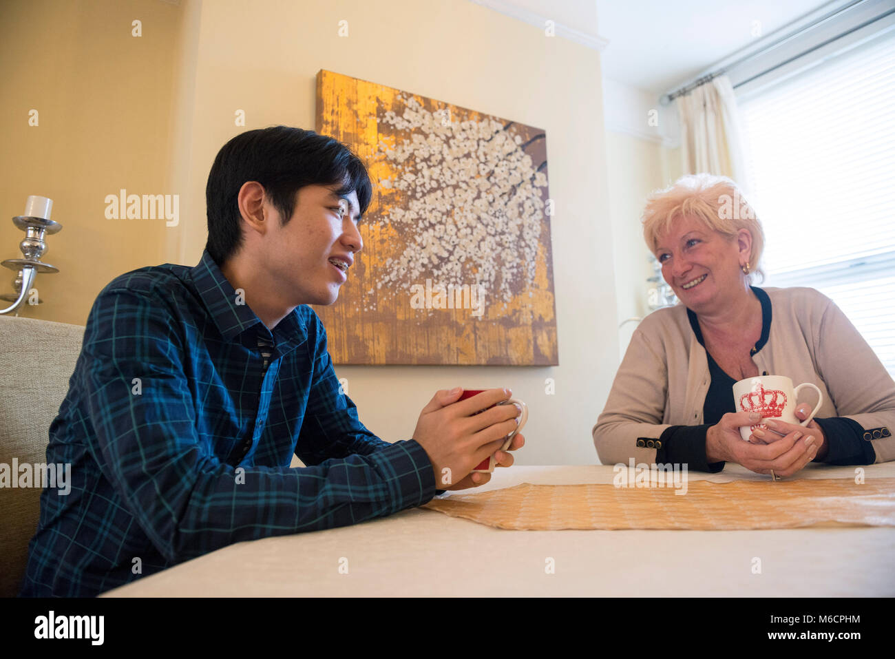 a young asian international student relaxes with his english host at ...