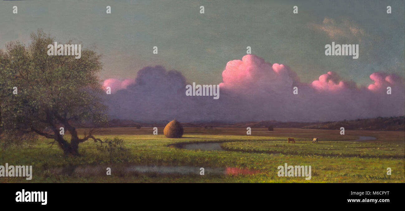 Martin johnson heade marshes hi-res stock photography and images - Alamy