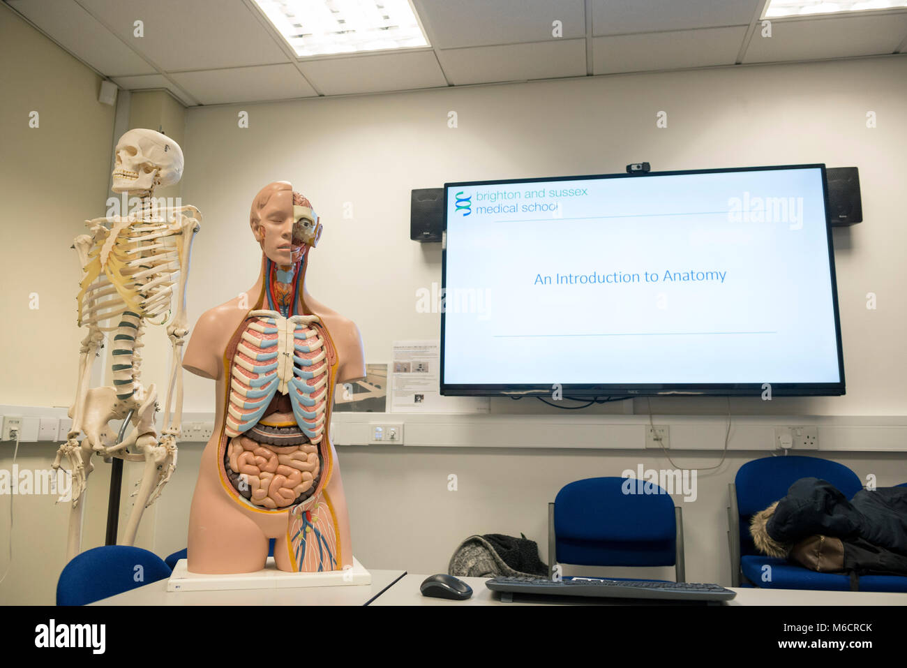 medical training aids in a classroom teaching medicine and human ...