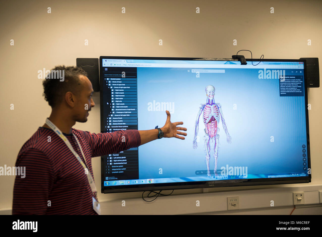 equipment used in the teaching of human anatomy in a medical class ...