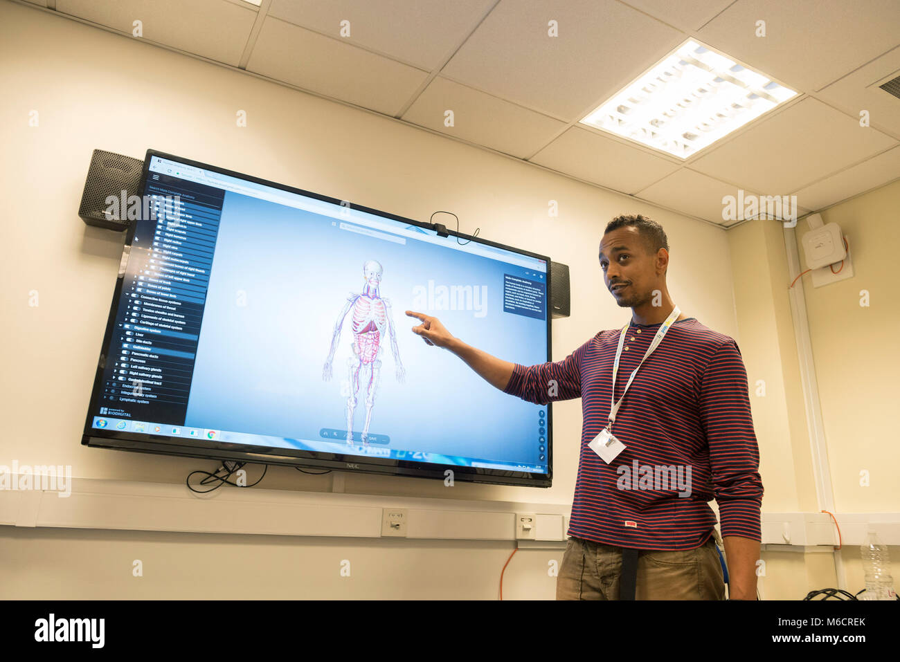 Teach human anatomy class hi-res stock photography and images - Alamy
