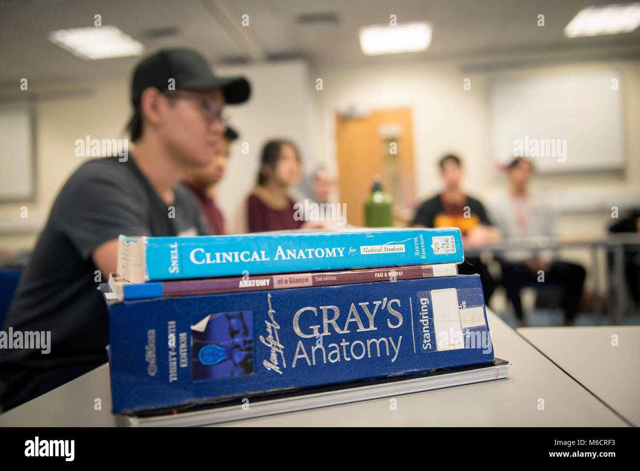 international students learn in a classroom all about the human anatomy ...