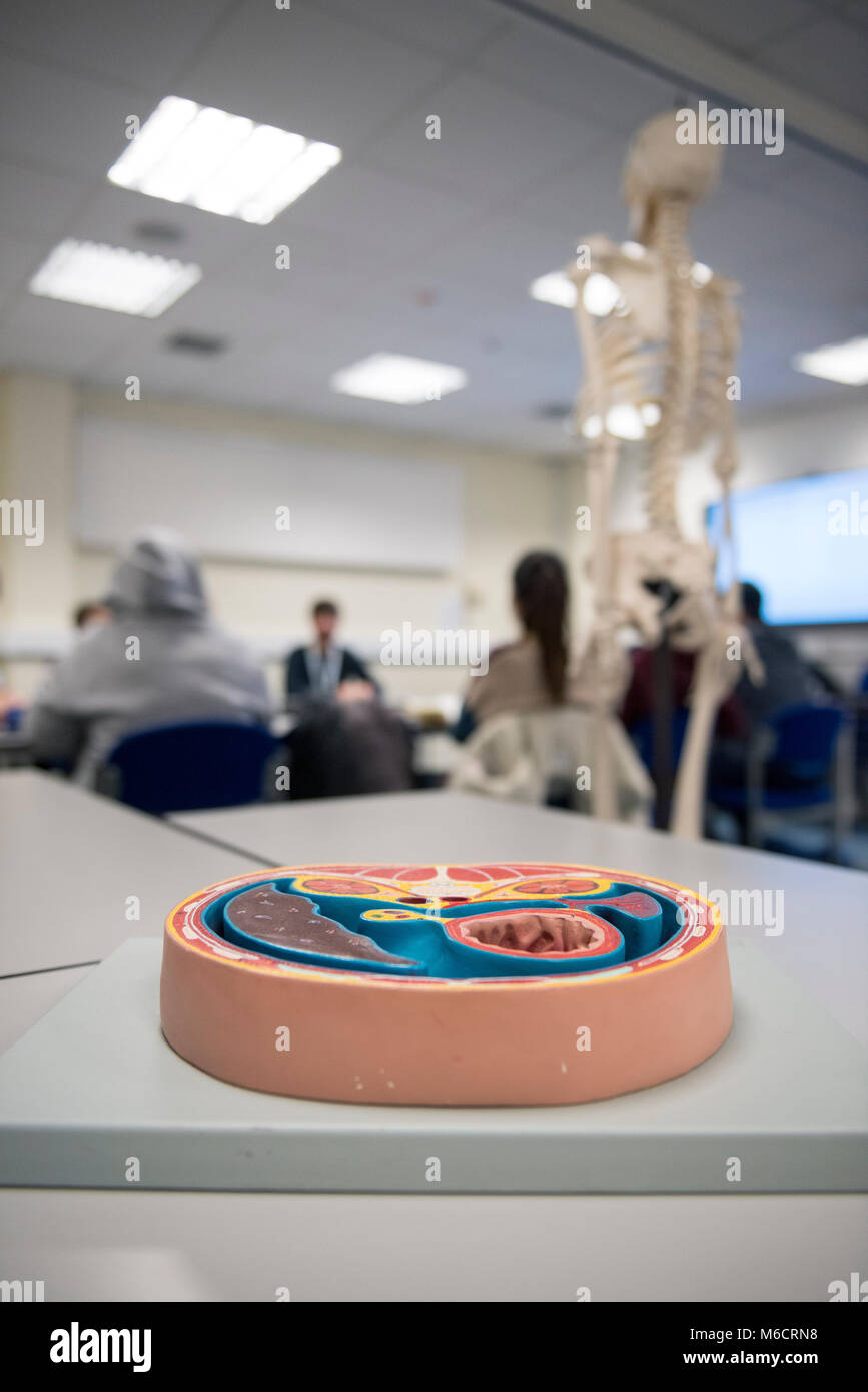 Sussex university hospital hi-res stock photography and images - Alamy