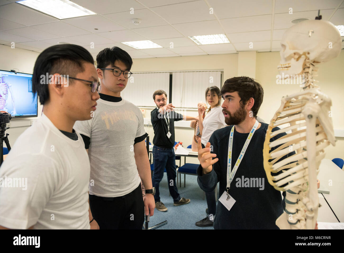 international students learn in a classroom all about the human anatomy ...