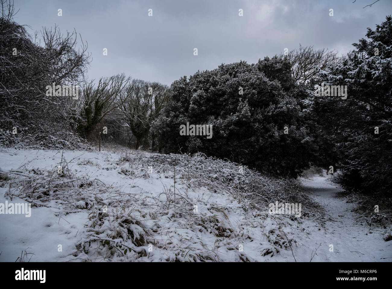 A section of the South Downs Way near Eastbourne under the snow Stock ...