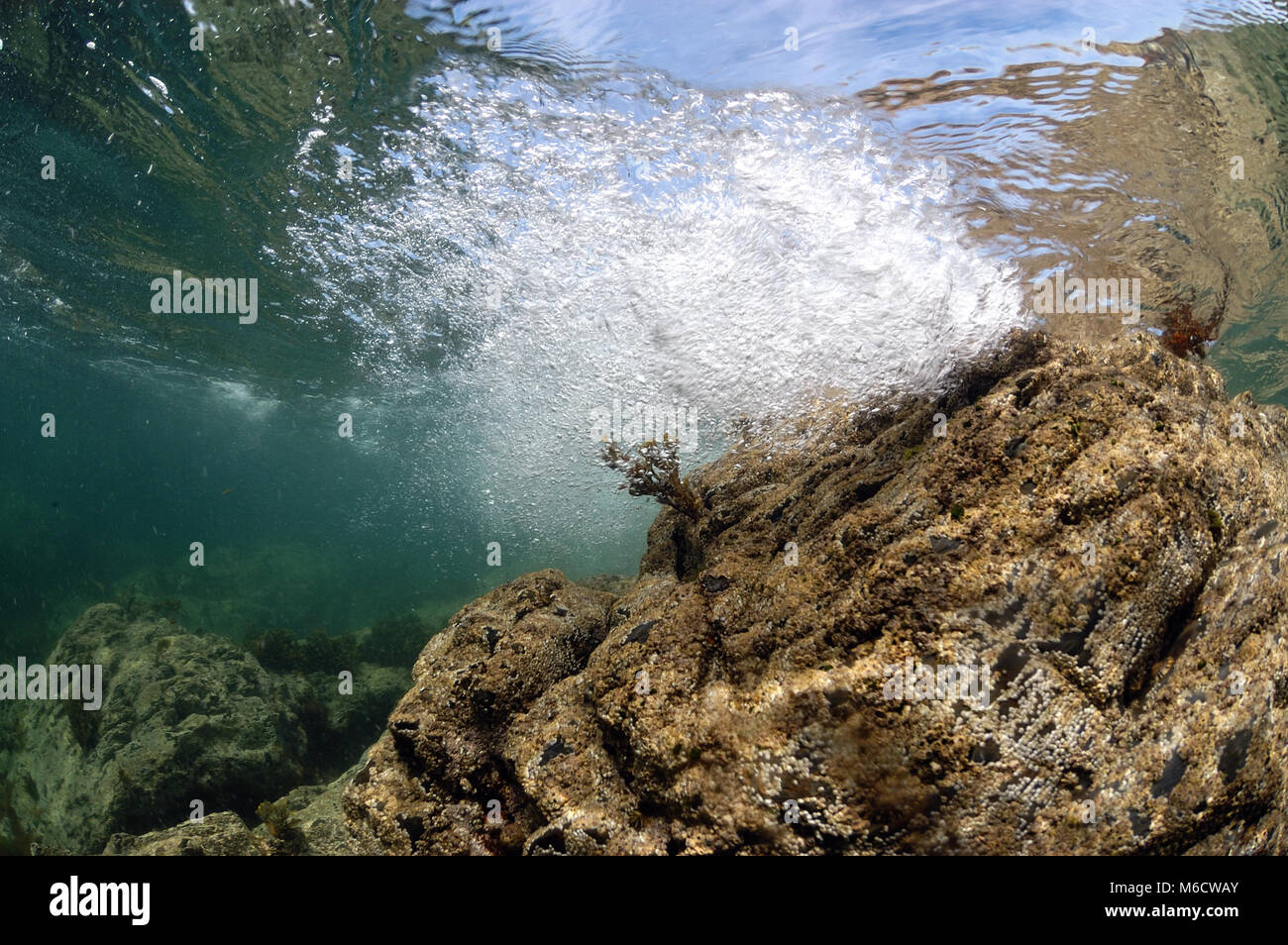 Rockpools rockpooling hi-res stock photography and images - Alamy