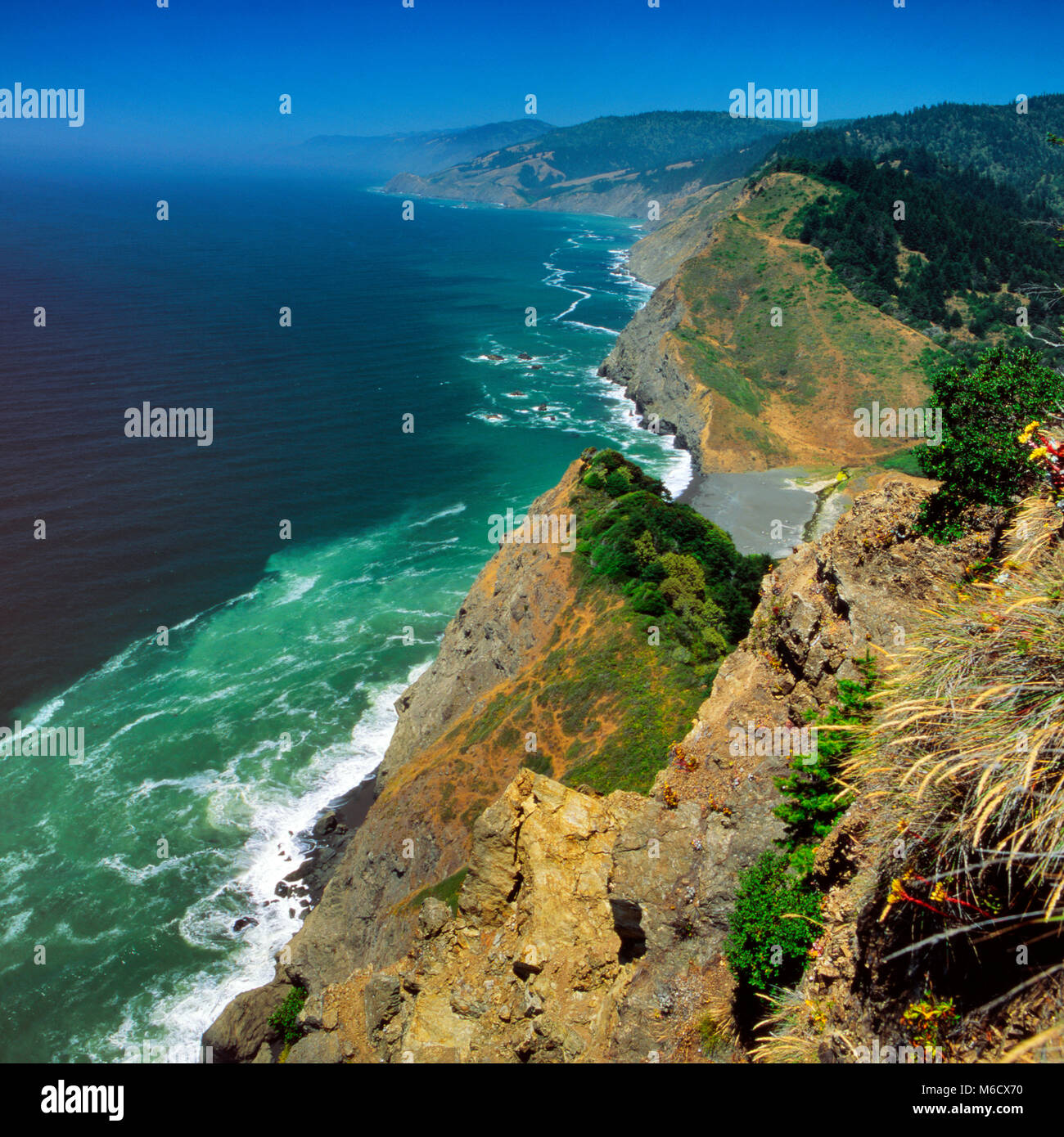 Coastline above Wheeler Beach, Bear Harbor, Sinkyone Wilderness State ...