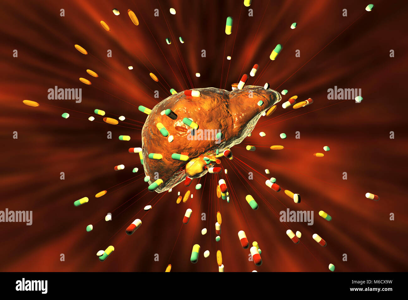 Drug-induced hepatotoxicity, conceptual illustration Stock Photo - Alamy
