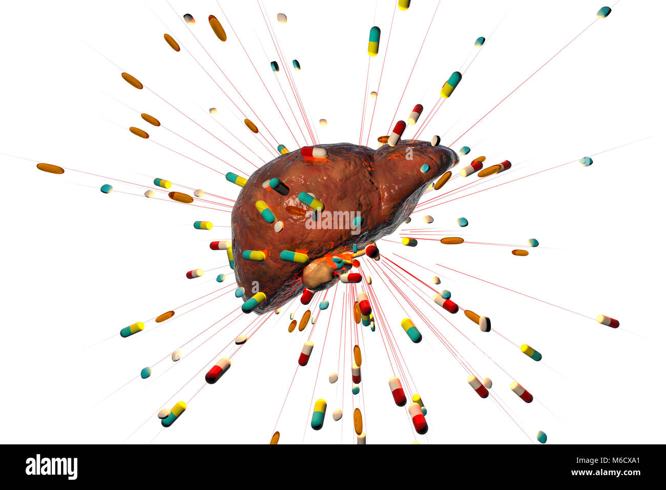 Drug-induced hepatotoxicity, conceptual illustration Stock Photo - Alamy