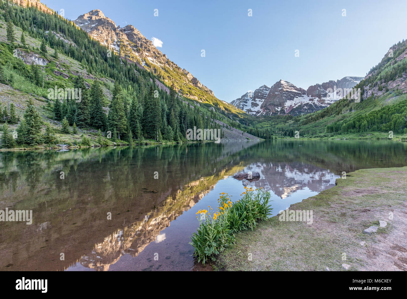 Aspen summer hi-res stock photography and images - Alamy