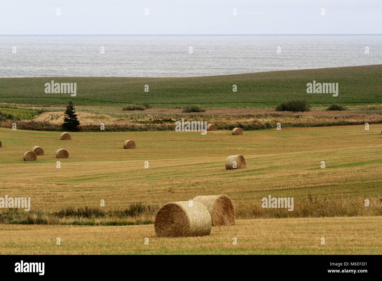 Hay fields hi-res stock photography and images - Alamy