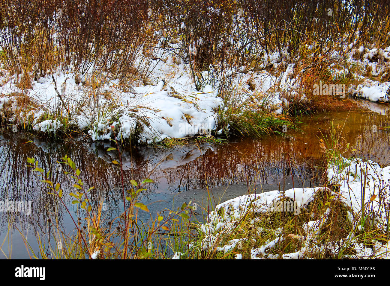 Canada muskeg winter hi-res stock photography and images - Alamy