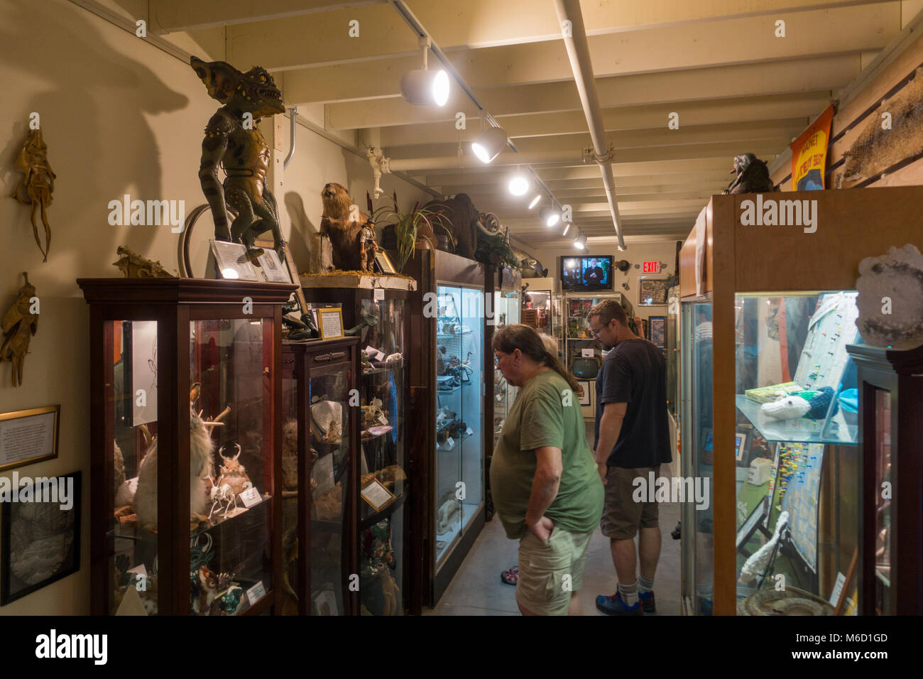 International Cryptozoology Museum Portland Maine Stock Photo - Alamy
