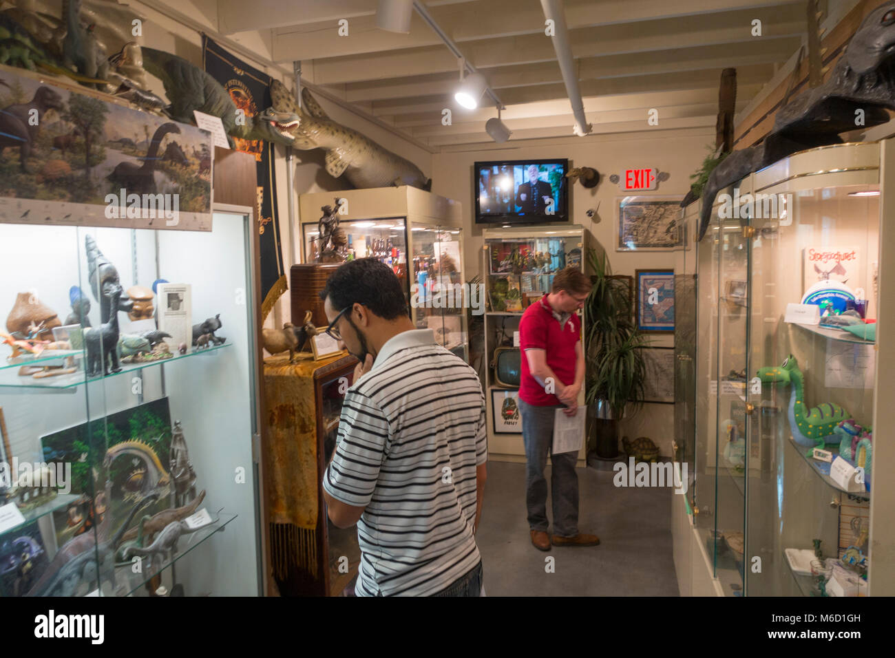 International Cryptozoology Museum Portland Maine Stock Photo - Alamy