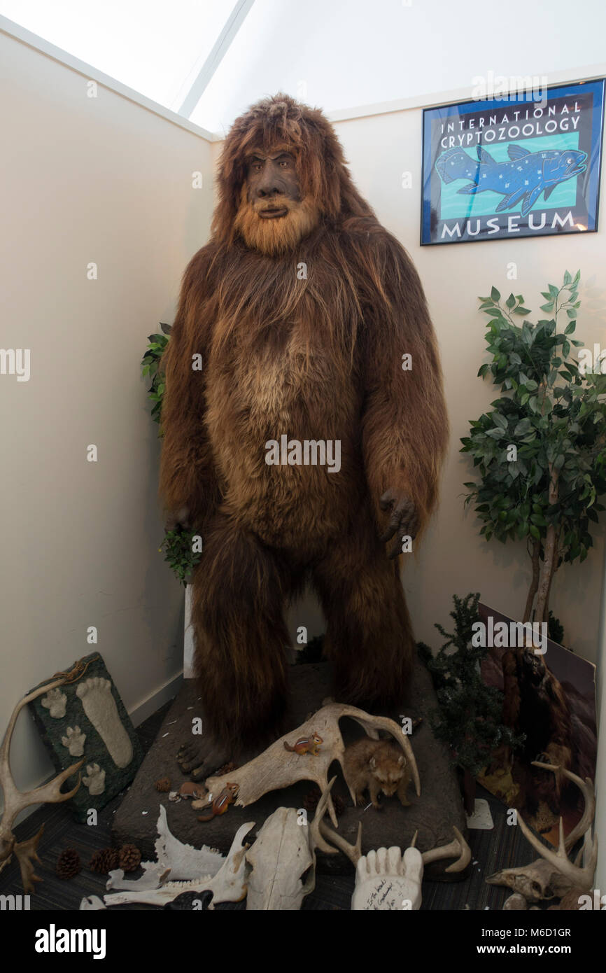 International Cryptozoology Museum Portland Maine Stock Photo - Alamy