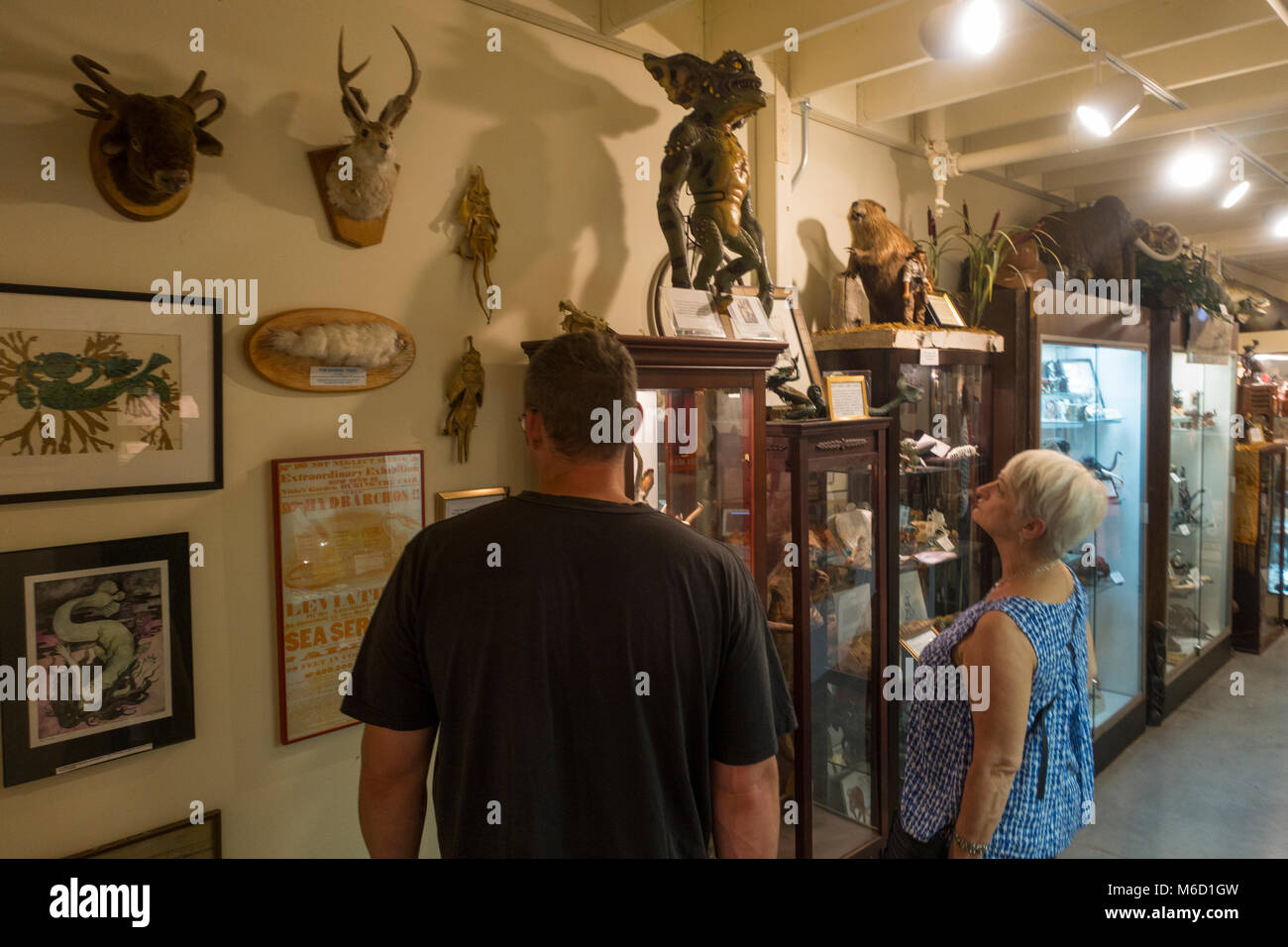 International Cryptozoology Museum Portland Maine Stock Photo - Alamy