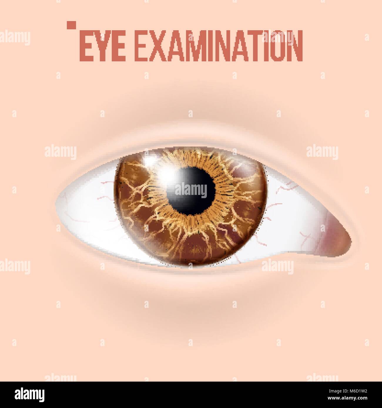 Human Eye Vector. Vision Concept. Clinic Medical Eye Diagnostic ...