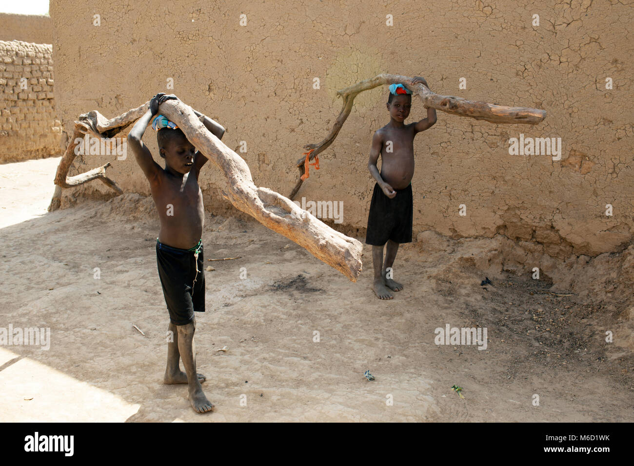 Two young, indigenous, ethnic Bozo tribe boys each carrying a branch of ...