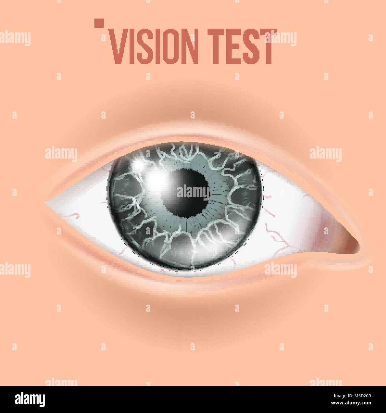 Human Eye Vector. Sight, Eyesight. Body Care. Realistic Detail Vision ...