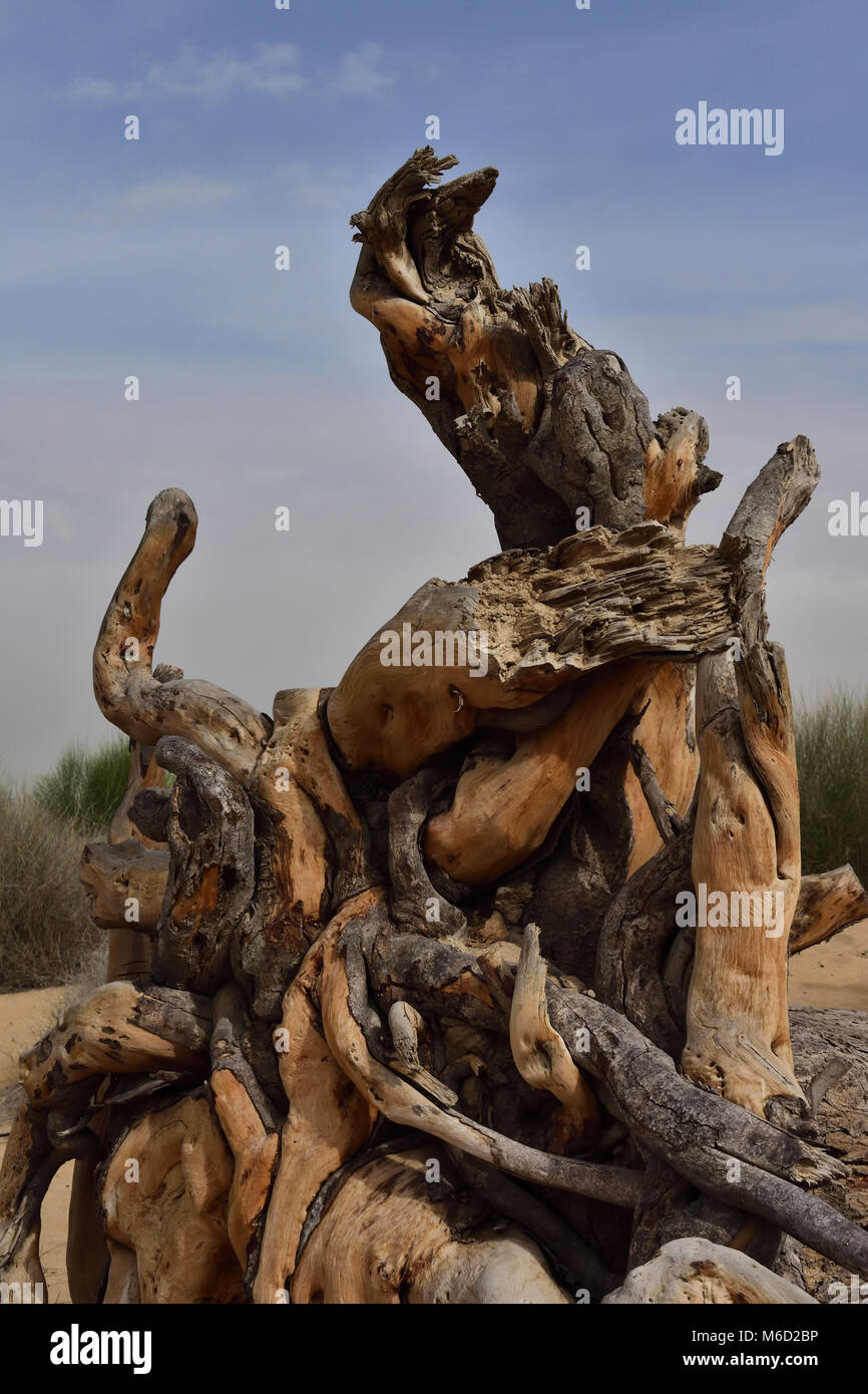 Art mobile wallpapers hi-res stock photography and images - Alamy