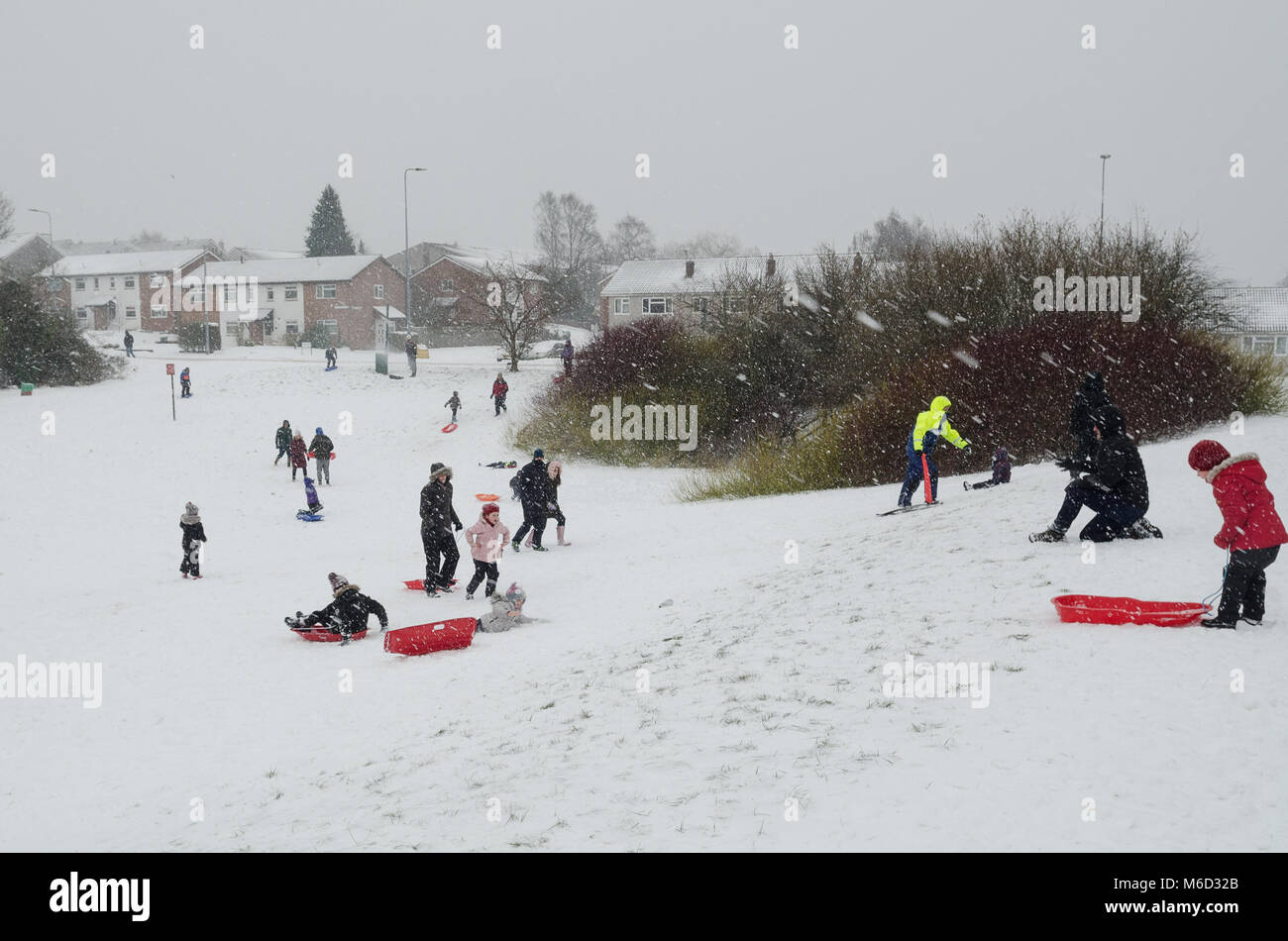 Cardiff, Wales, UK. 2nd March 2018. Storm Emma: Sledding in one of ...