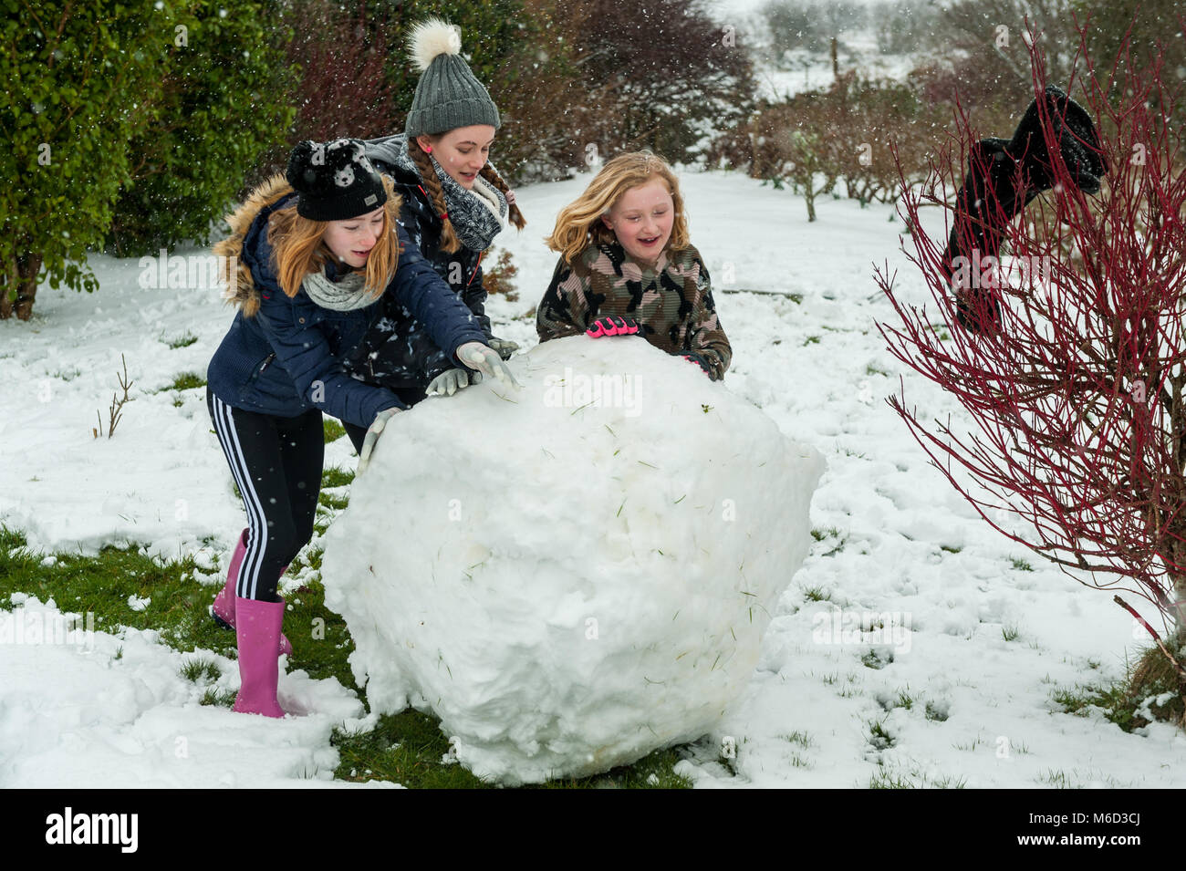 Ballydehob, Ireland. 2nd Mar, 2018. Storm Emma is still bringing snow ...