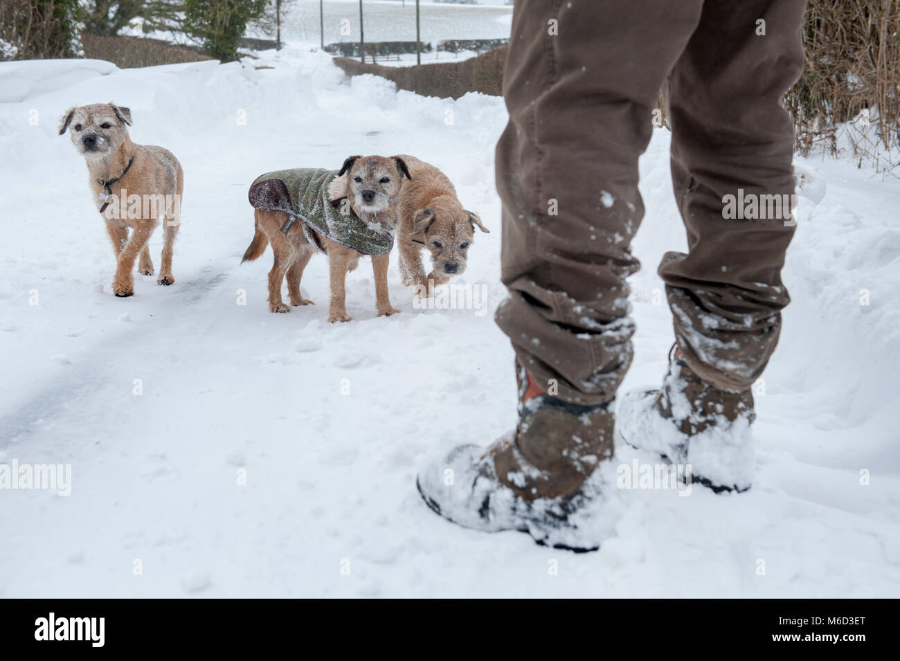 Herefordshire, UK. 2 March 2018. The roads around the village of Little ...
