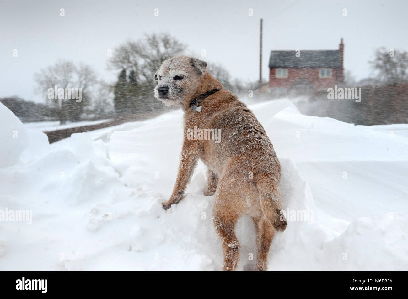 Herefordshire, UK. 2 March 2018. The roads around the village of Little ...