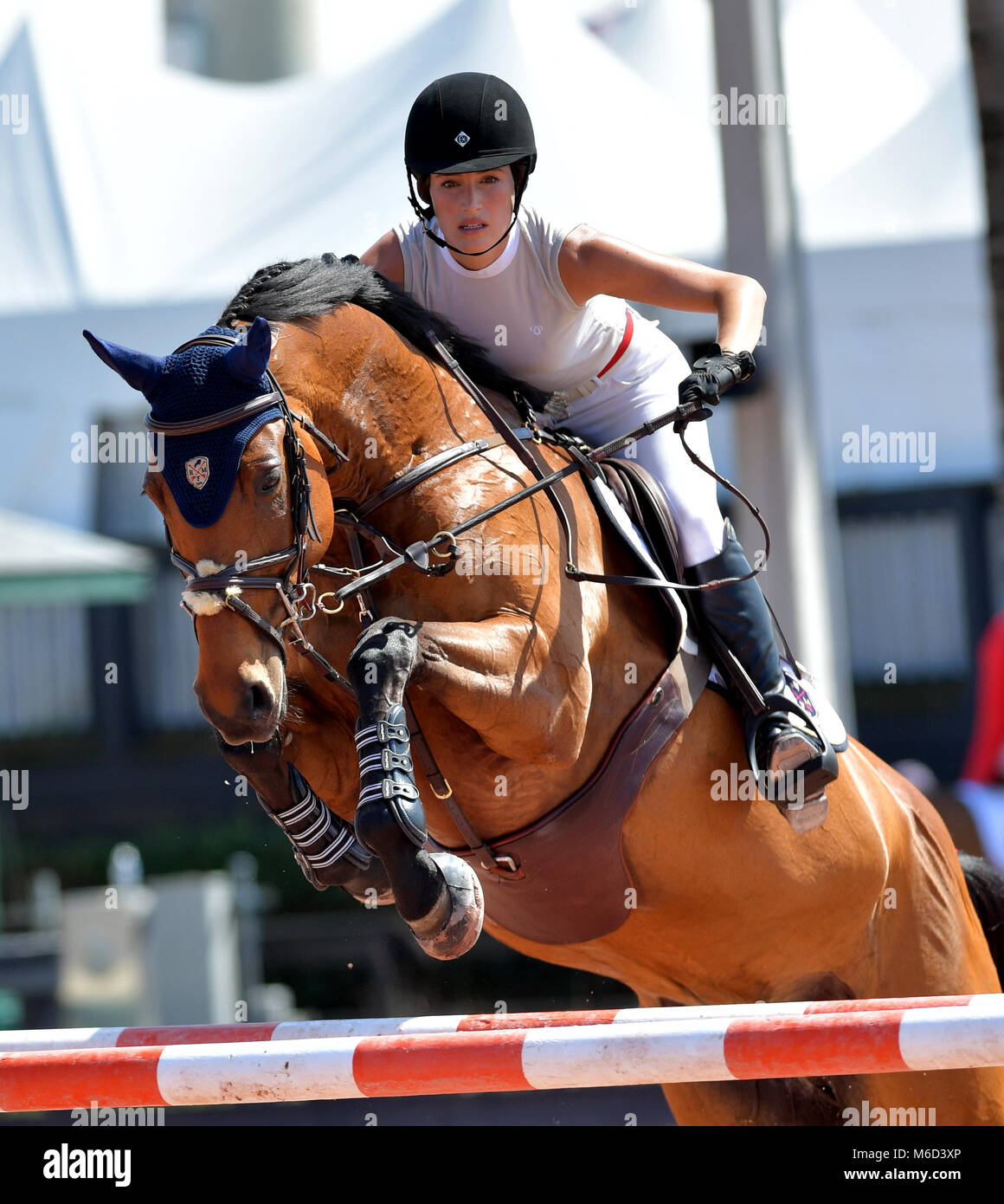 WEST PLAM BEACH, FL - MARCH 01: (EXCLUSIVE COVERAGE) Jessica Rae ...