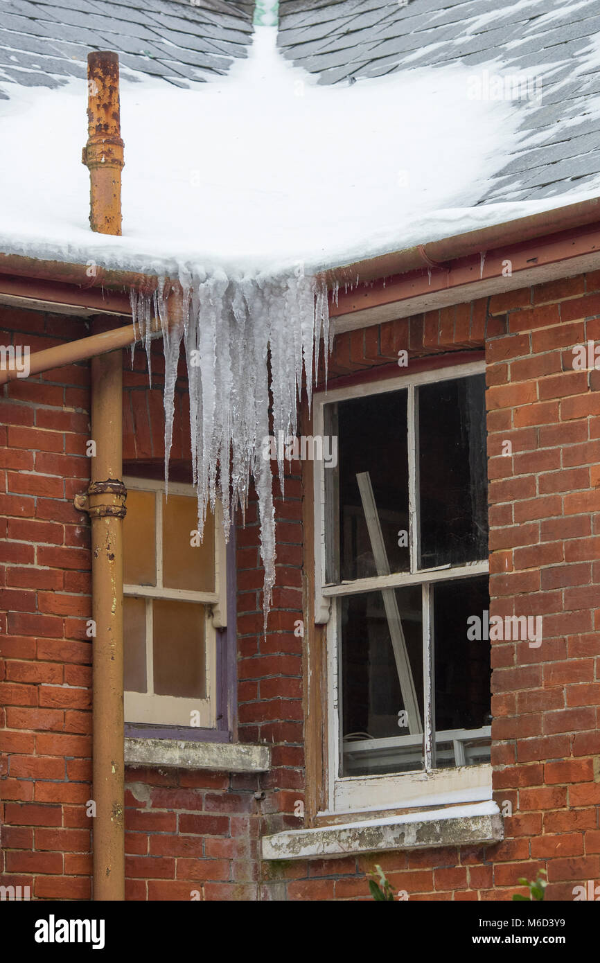 Poor housing conditions uk hi-res stock photography and images - Alamy