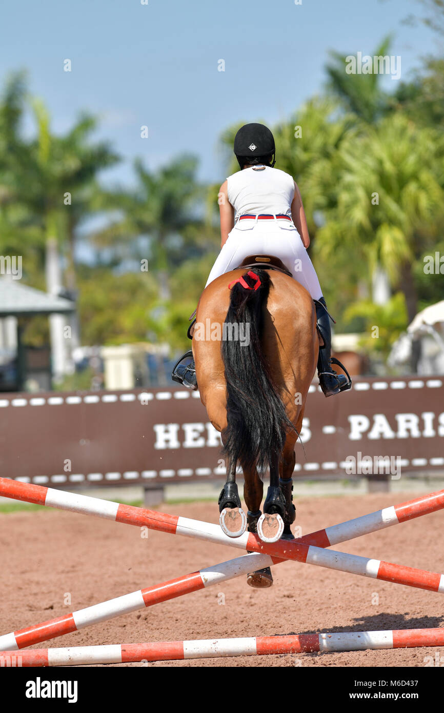 WEST PLAM BEACH, FL - MARCH 01: (EXCLUSIVE COVERAGE) Jessica Rae ...